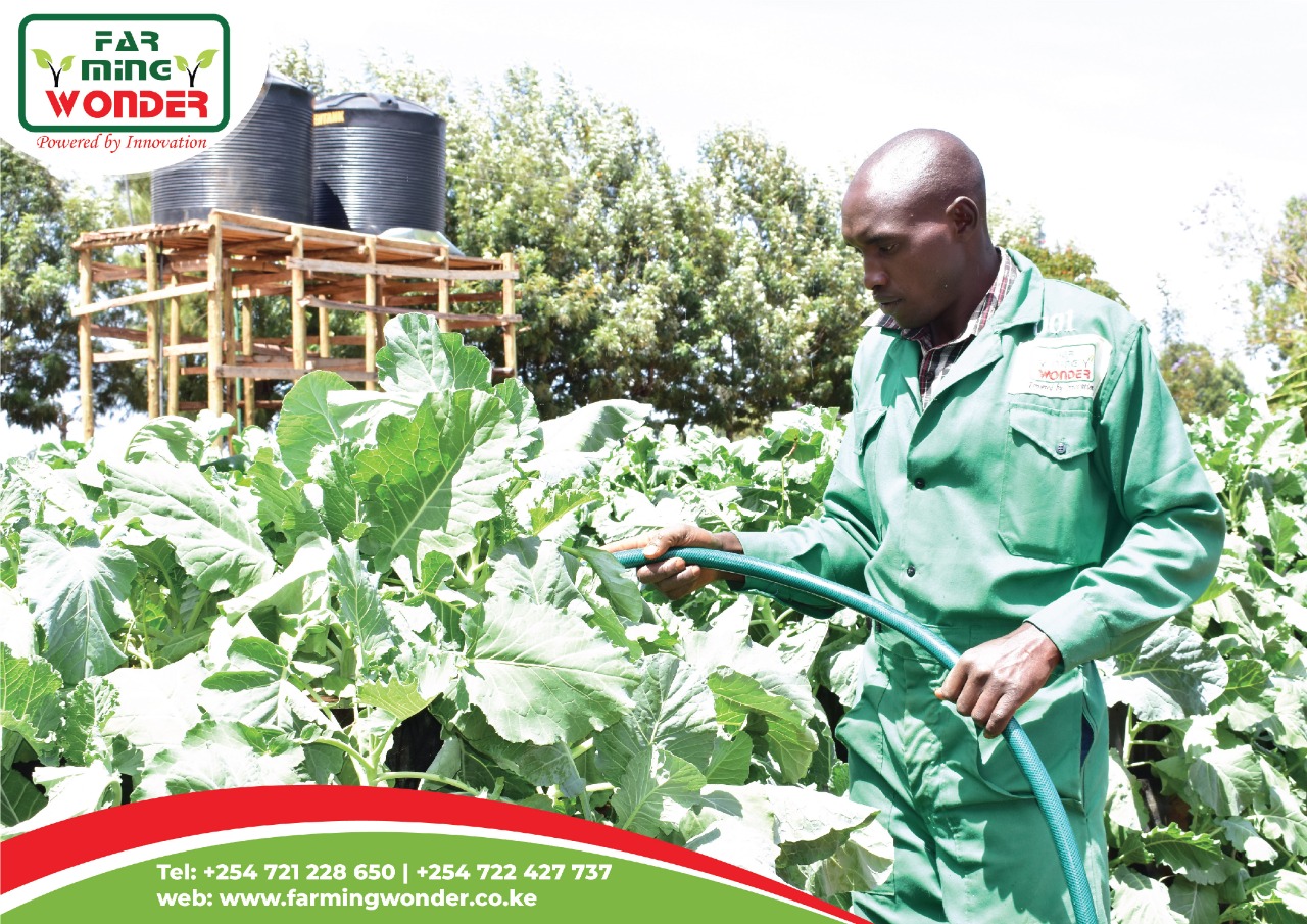 Water Conservation | Farming Wonder