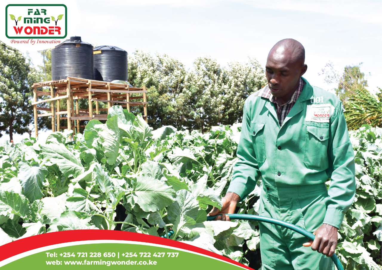 Water Conservation | Farming Wonder